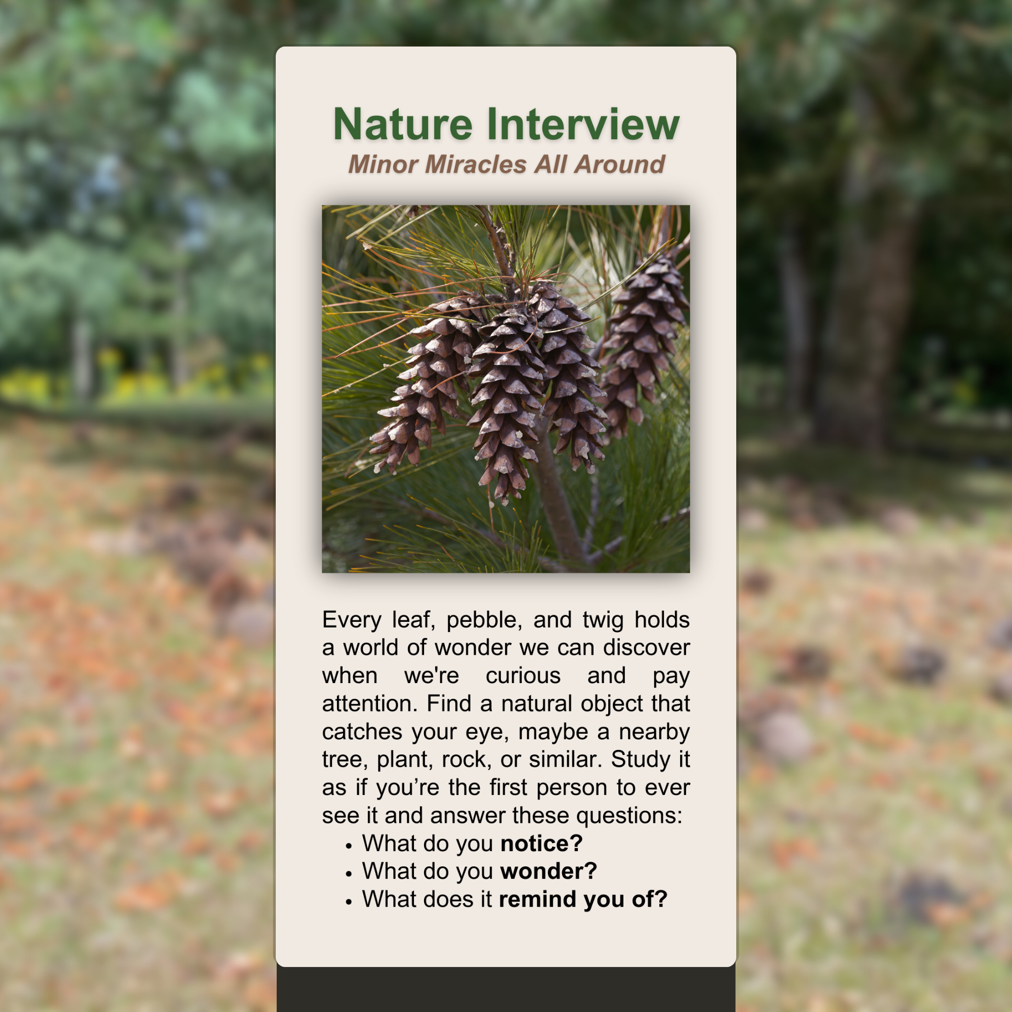 Nature Interview – The Visitor Experience